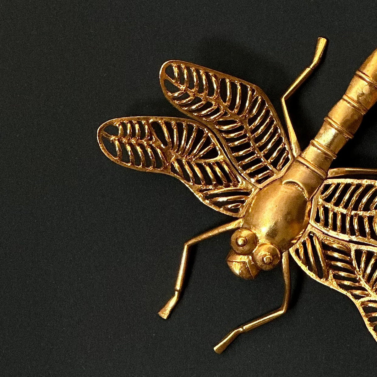 Dragonfly Brooch | kavyapotluri